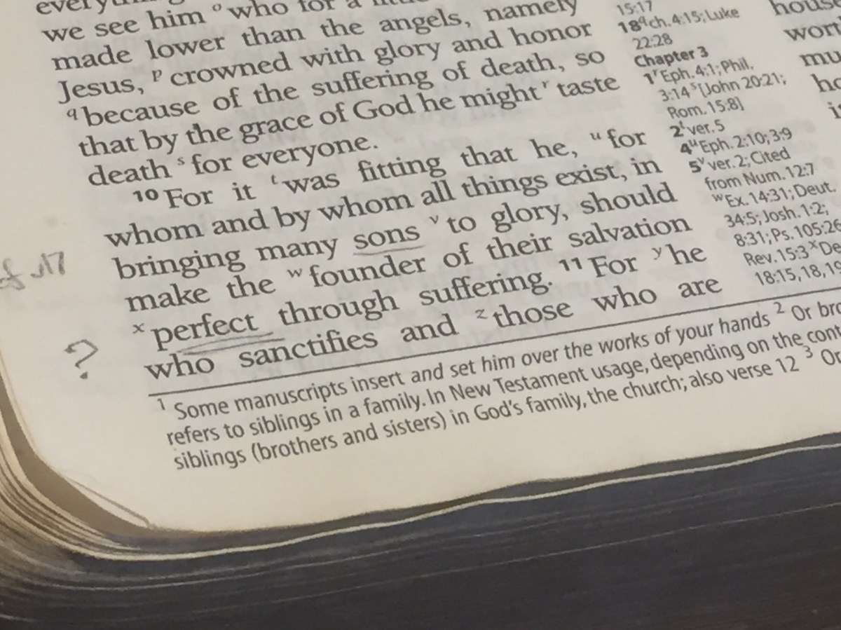 Hebrews 2.10: Jesus the Founder, Job Ready – Chris Northcott